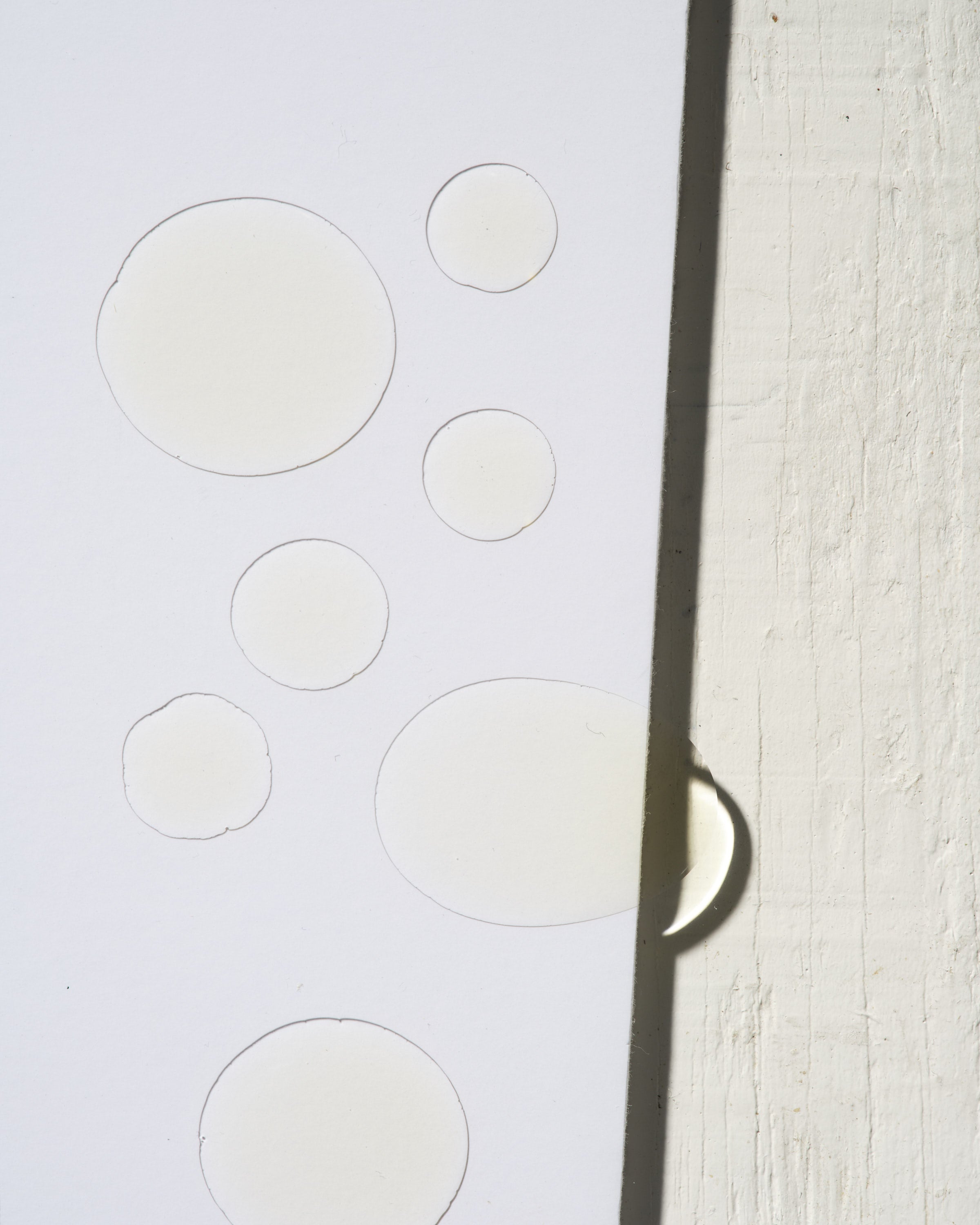 The Benefits of Oil-Based Products for Intimate Body Parts – Dame Products